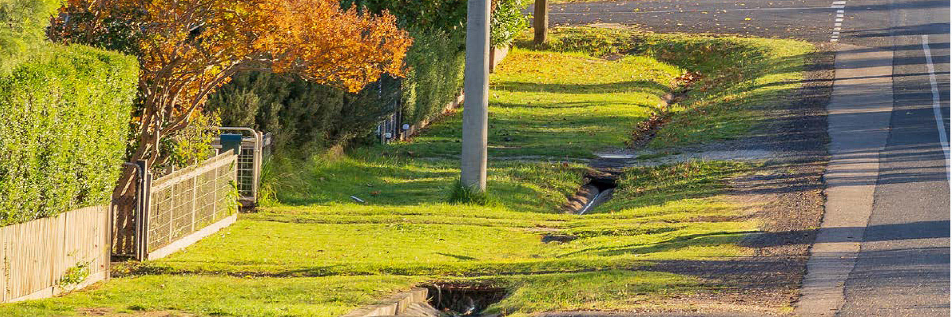 Urban Nature Strip Guidelines | Shape Mount Alexander