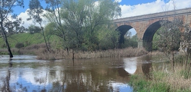 Check over the 1% AEP flood model | Harcourt Flood Study | Shape Mount ...