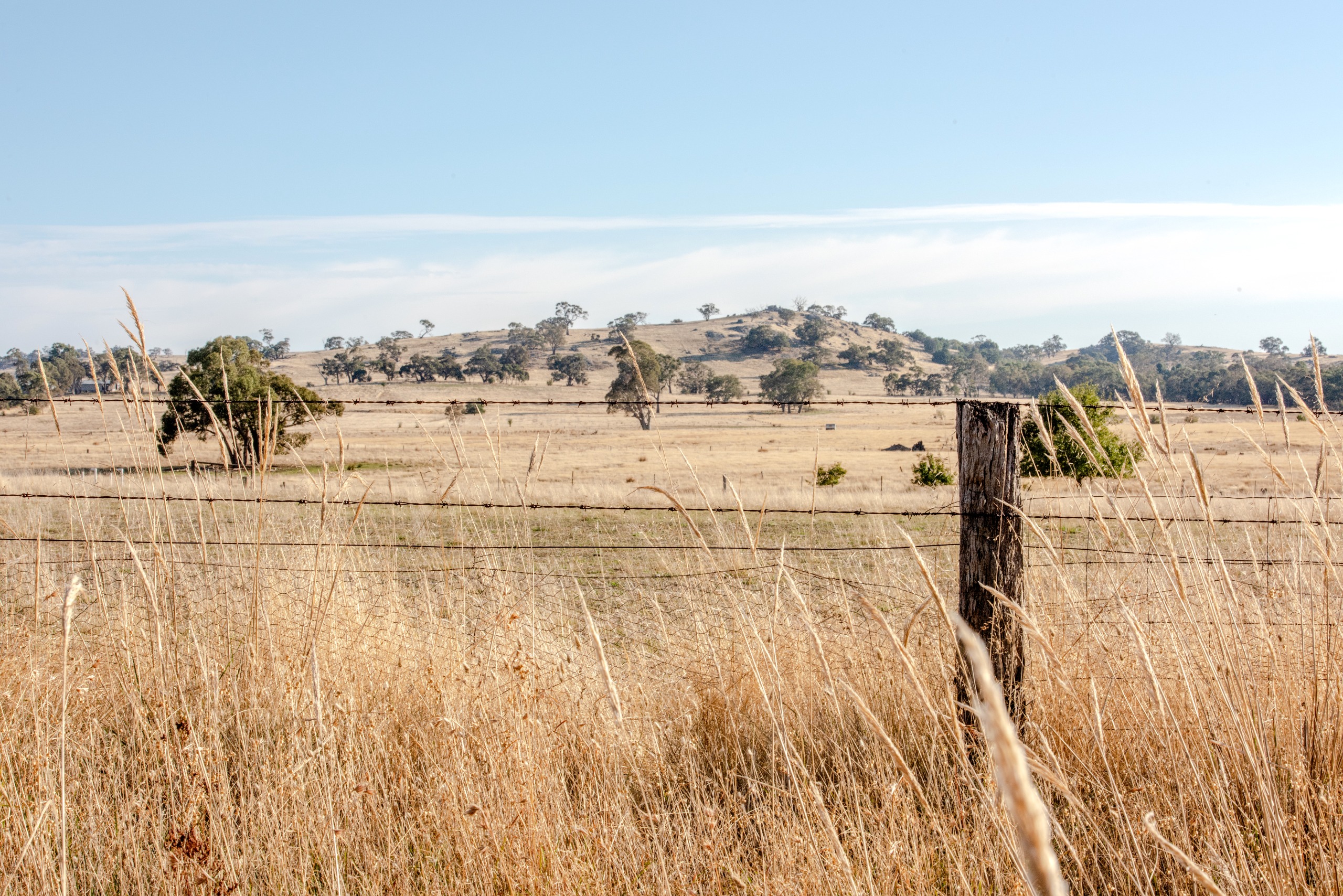 Rural Land Use Strategy | Shape Mount Alexander